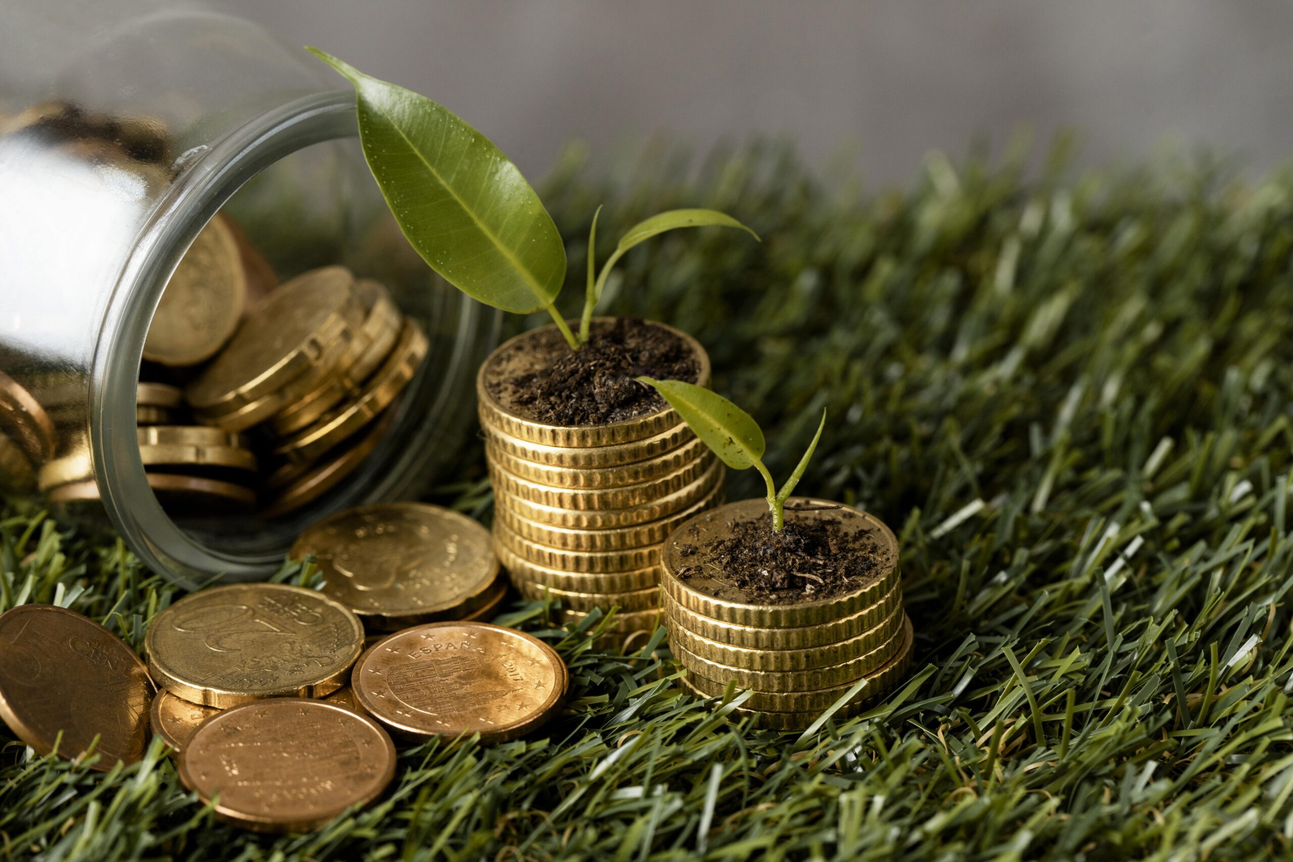Saudi Arabia’s First Sovereign Green Bond: A Milestone in Sustainable ...